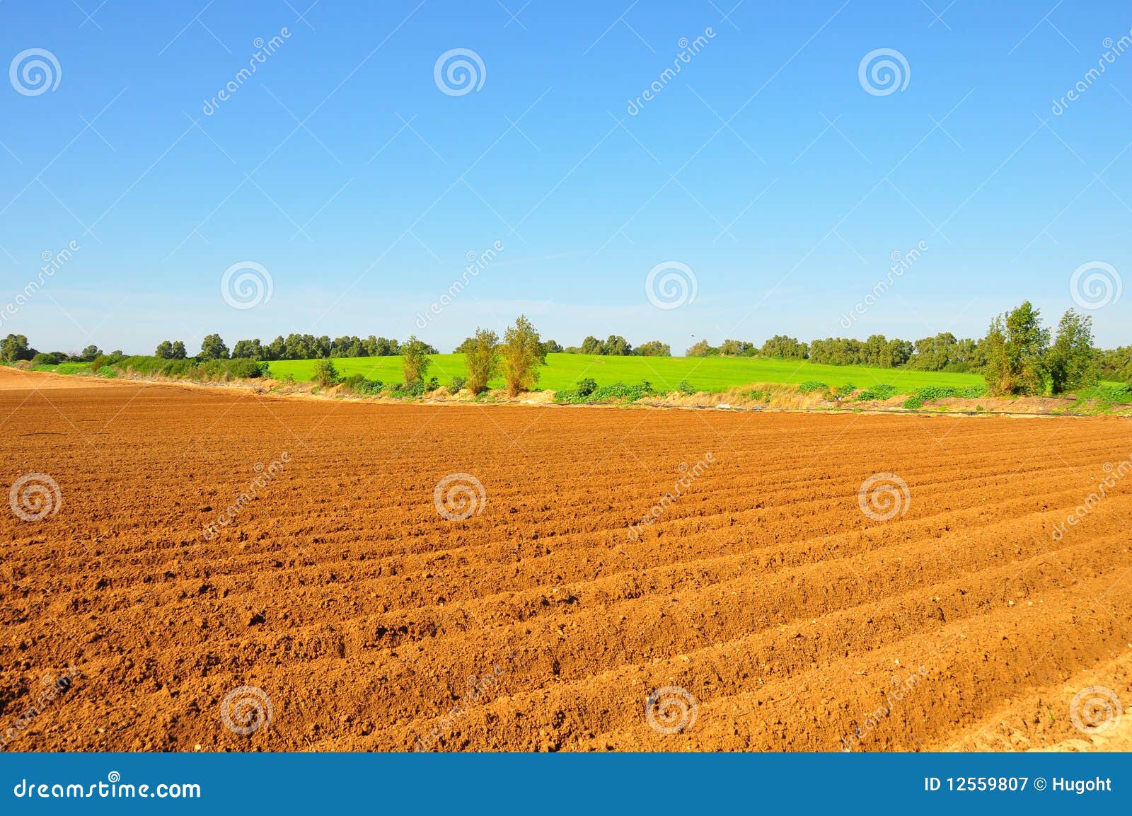 Agriculture Crop Fields stock image. Image of grow, country - 12559807