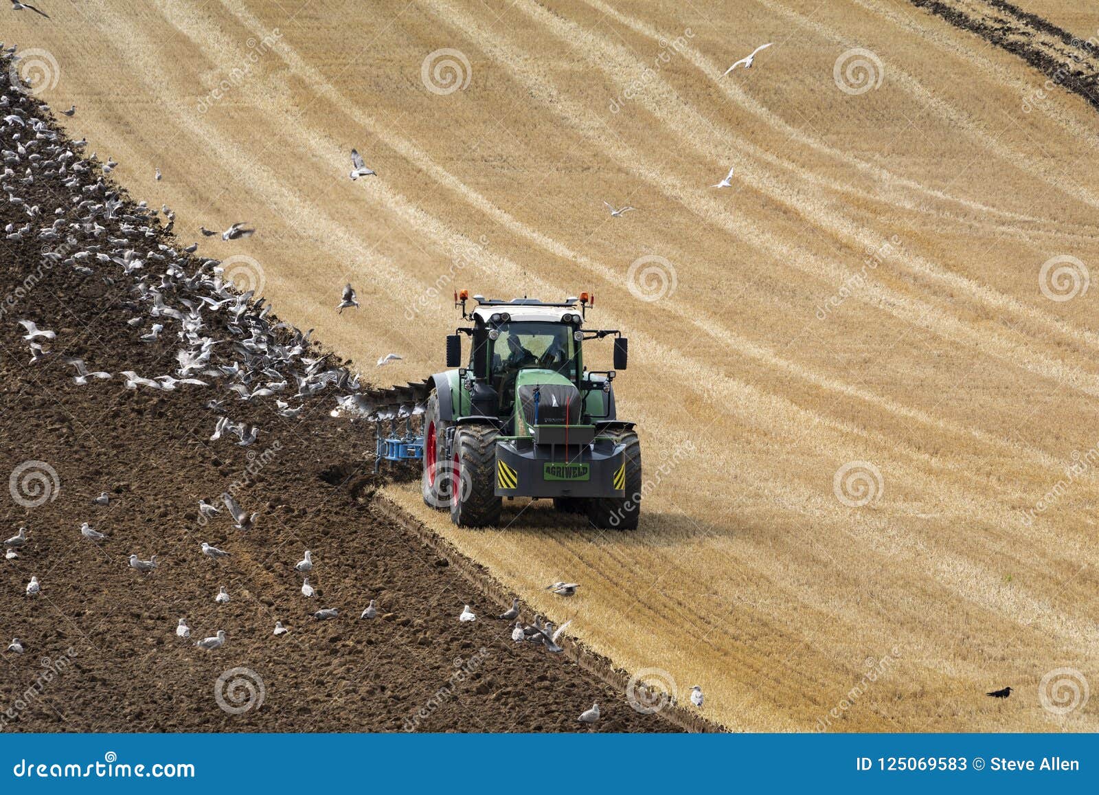 Agriculture - Cultivant - Labourage D'un Champ Photo stock éditorial ...