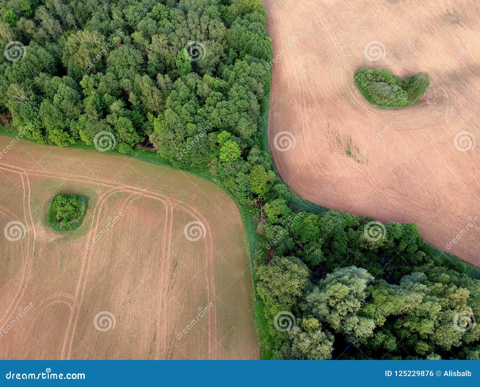 Agriculture Cultivated Fields and Forest in Spring, Aerial Stock Photo ...