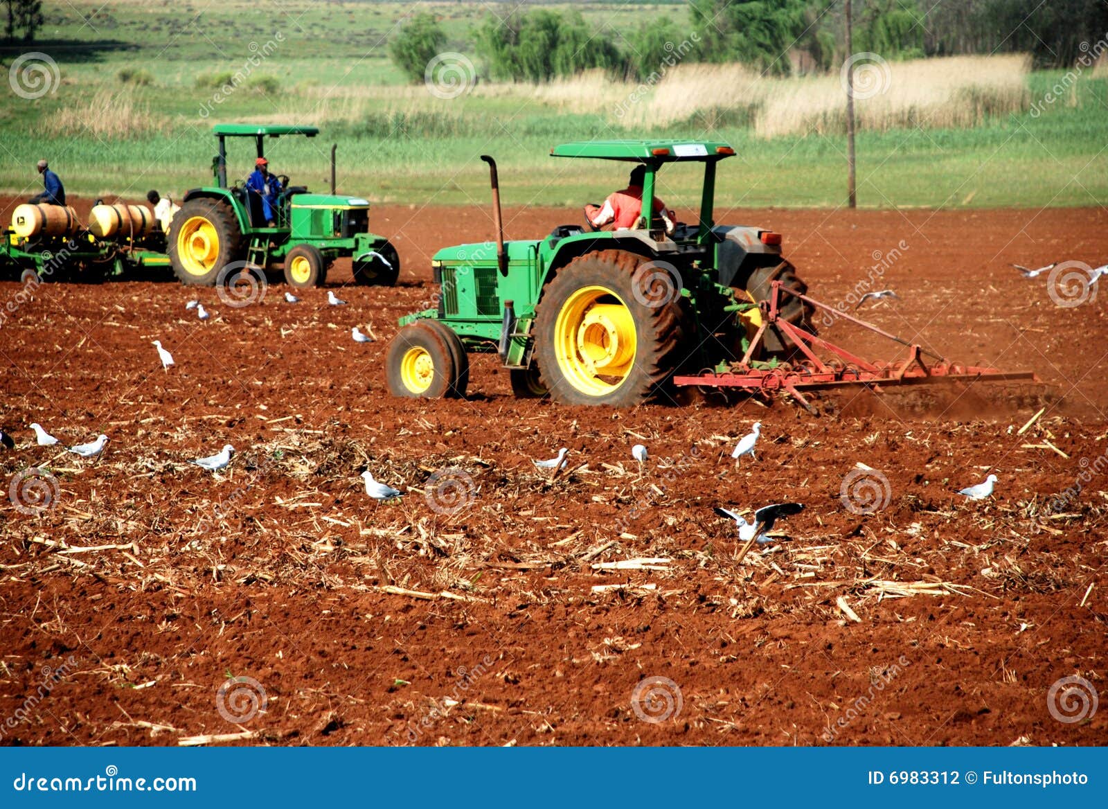 Agriculture Cultivation stock photo. Image of cultivate - 6983312