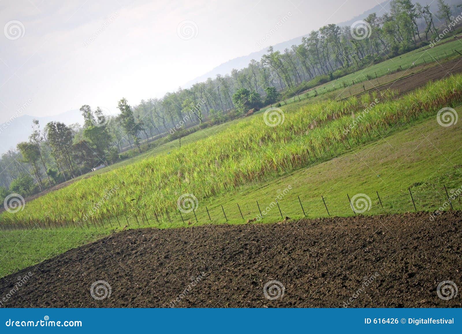 Agriculture,cultivation and Farming Stock Photo - Image of india, haze ...