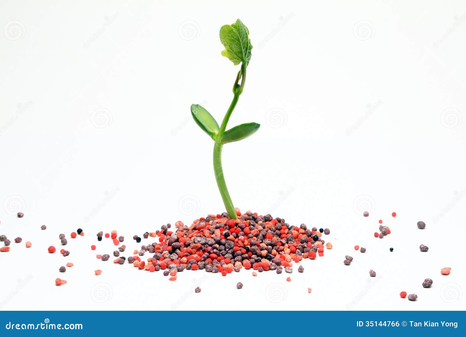 Agriculture D'engrais Chimique Photo stock - Image du concept, chimique ...