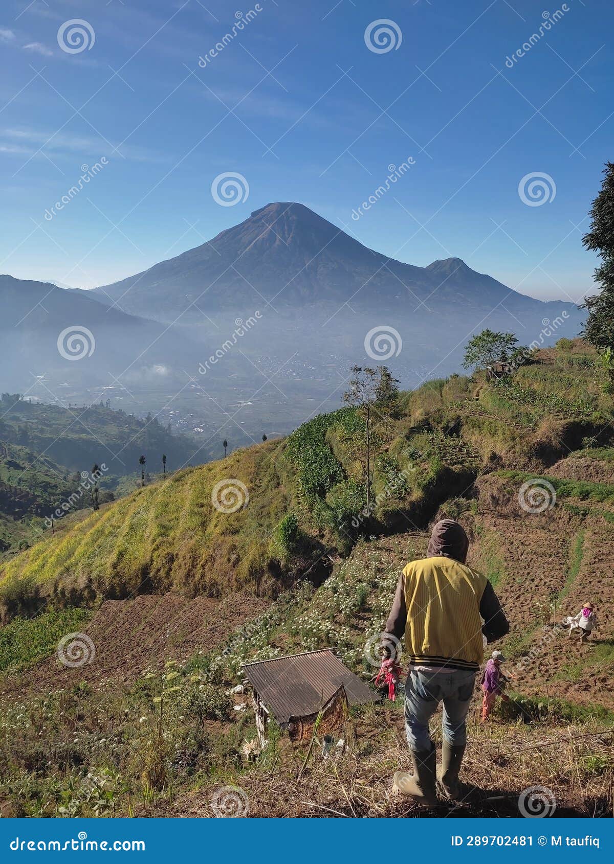 Agriculture Dieng Banjarnegara Central Java Indonesia Stock Image ...