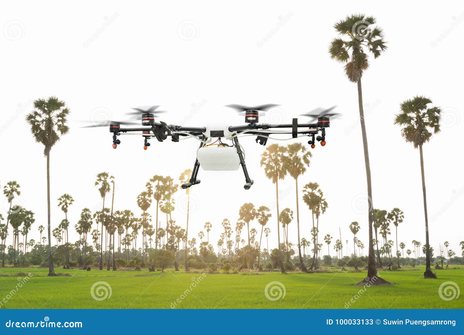 Agriculture Drone Flying on the Green Rice Field Stock Image - Image of ...