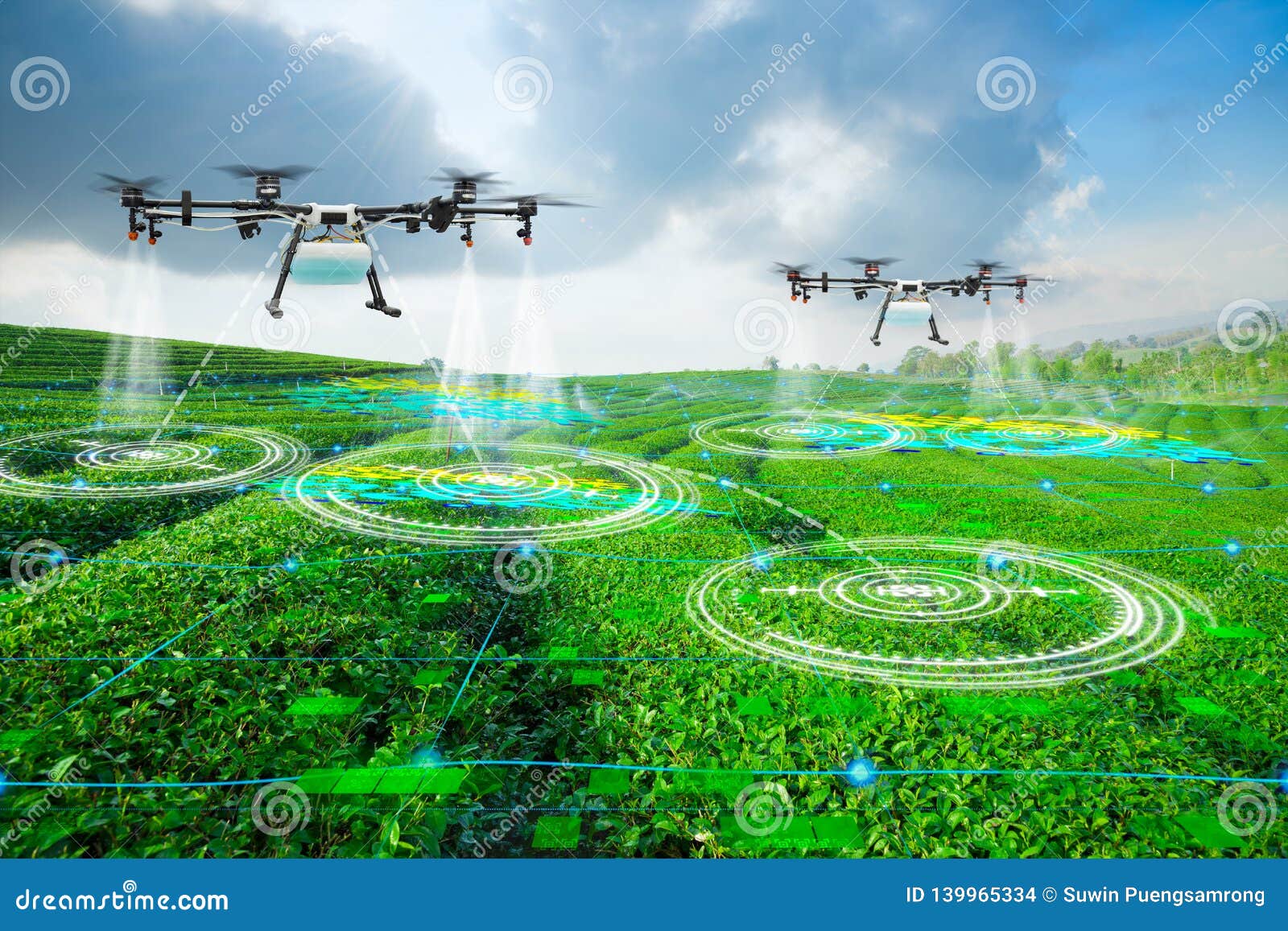 Agriculture Drone Scanning Area To Sprayed Fertilizer on Green Tea ... Agriculture Drone Scanning Area To Sprayed Fertilizer on Green Tea ...