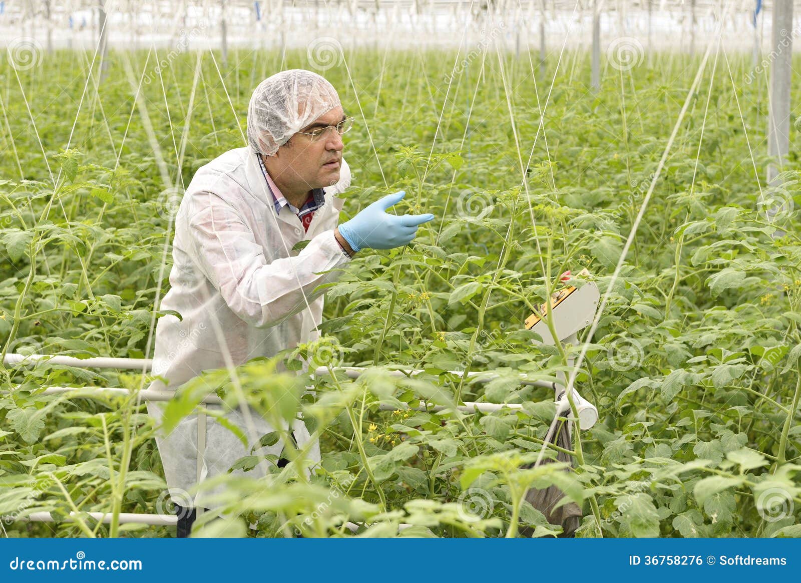 Agriculture engineer stock photo. Image of agricultural - 36758276