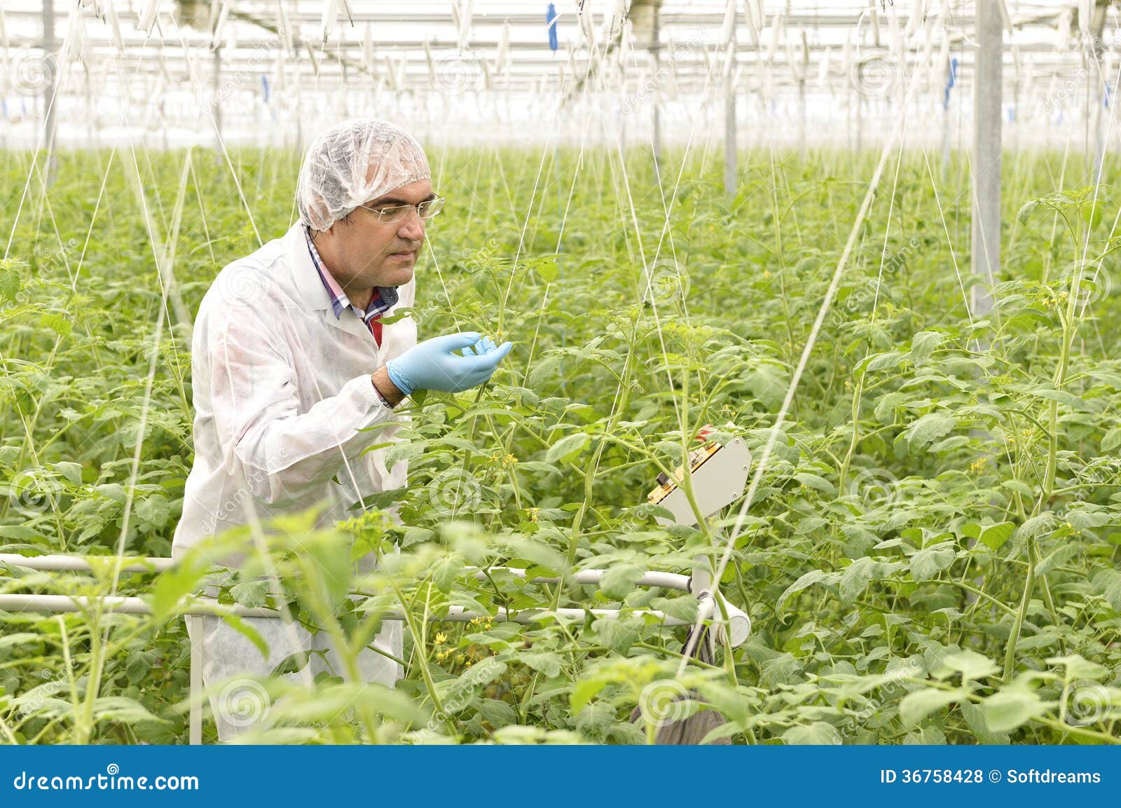Agriculture engineer stock photo. Image of economy, farmland - 36758428