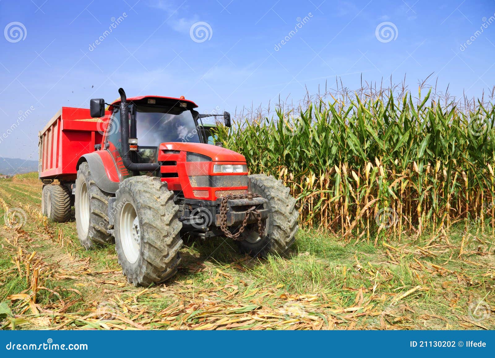 Agriculture, Farming Tractor Stock Photo - Image of agriculture ...