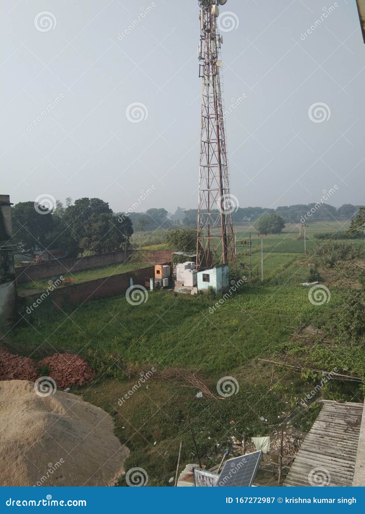 Agriculture farms of bihar stock image. Image of india - 167272987