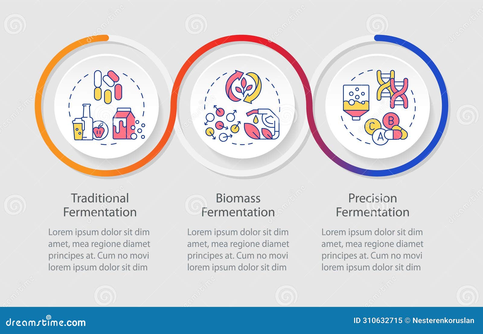Agriculture Fermentation Types Loop Infographic Template Stock Vector ...
