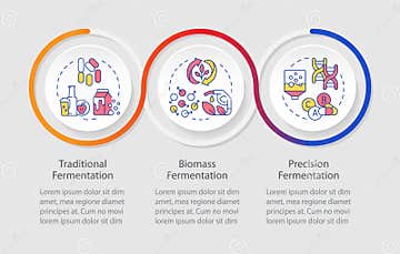 Agriculture Fermentation Types Loop Infographic Template Stock Vector ...