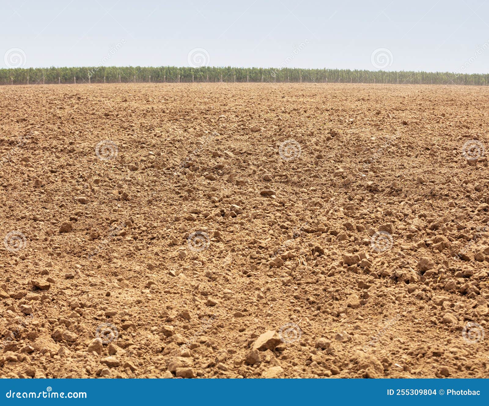 Agriculture Field Ready for Sowing Seeds Stock Photo - Image of dirt ...