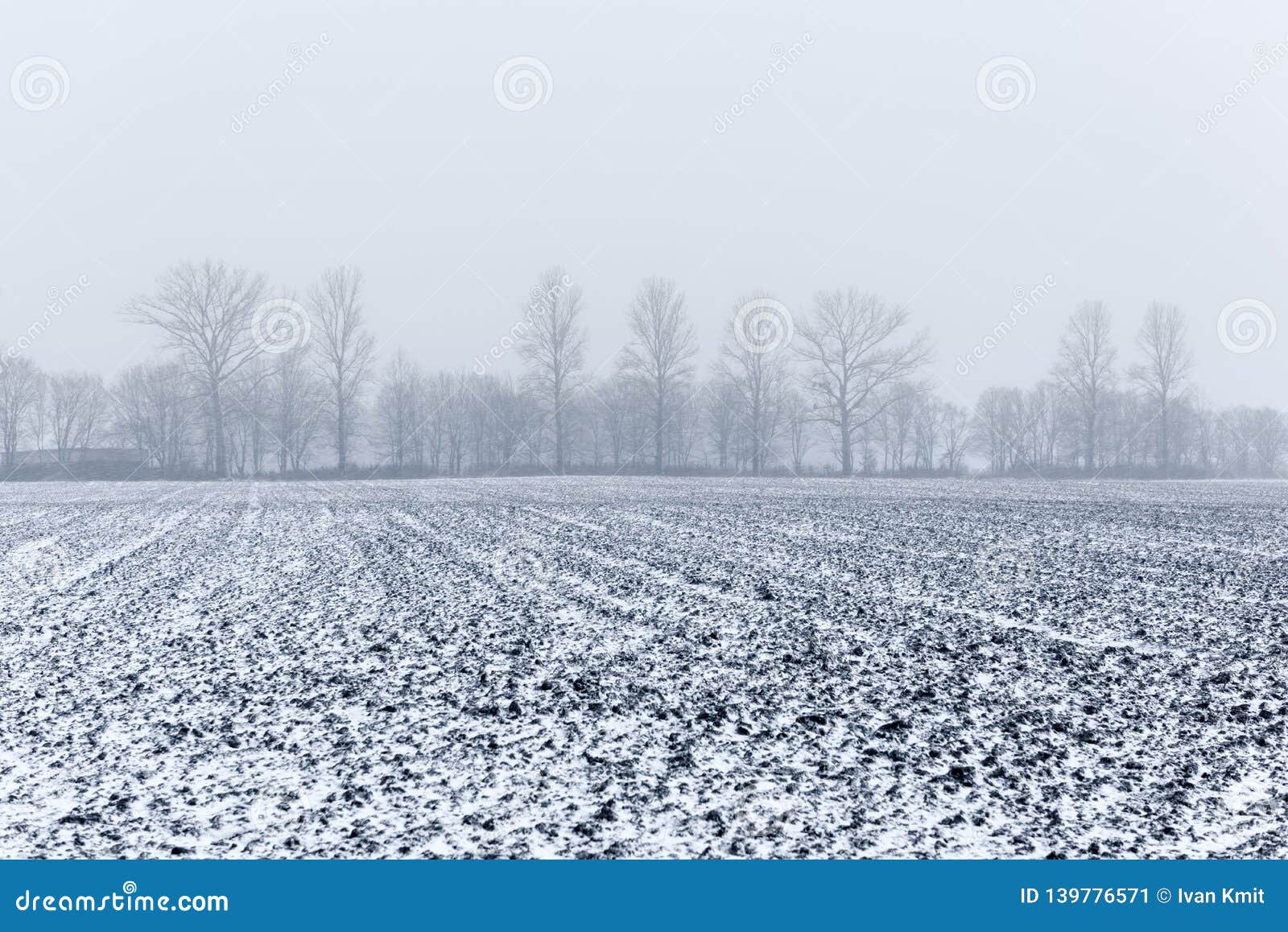 Agriculture Field on Spring Time Stock Image - Image of field ...