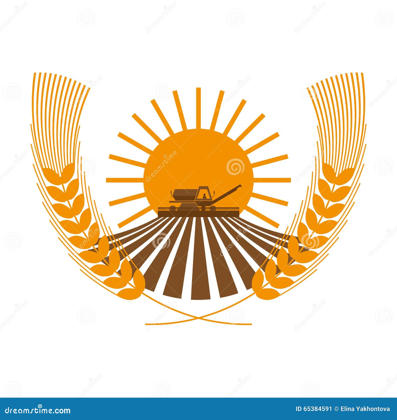 Agriculture Field Vector Illustration of How the Harvest of Wheat Stock ...