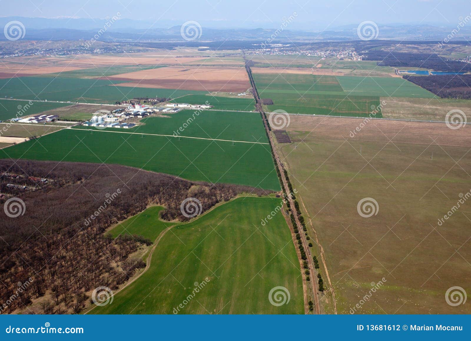 Agriculture fields stock photo. Image of growth, flowers - 13681612