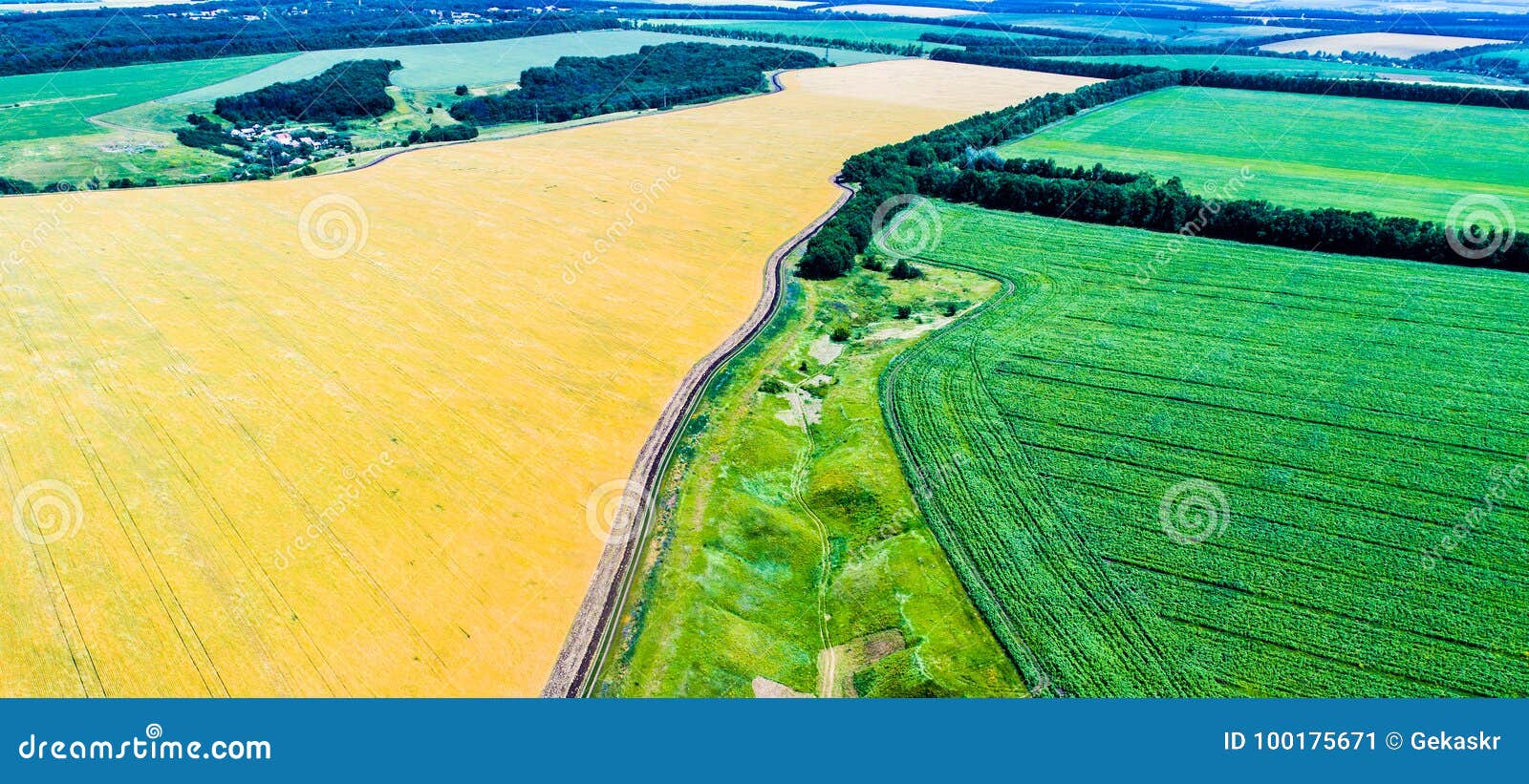 Agriculture Fields from Above Stock Image - Image of cereal ...