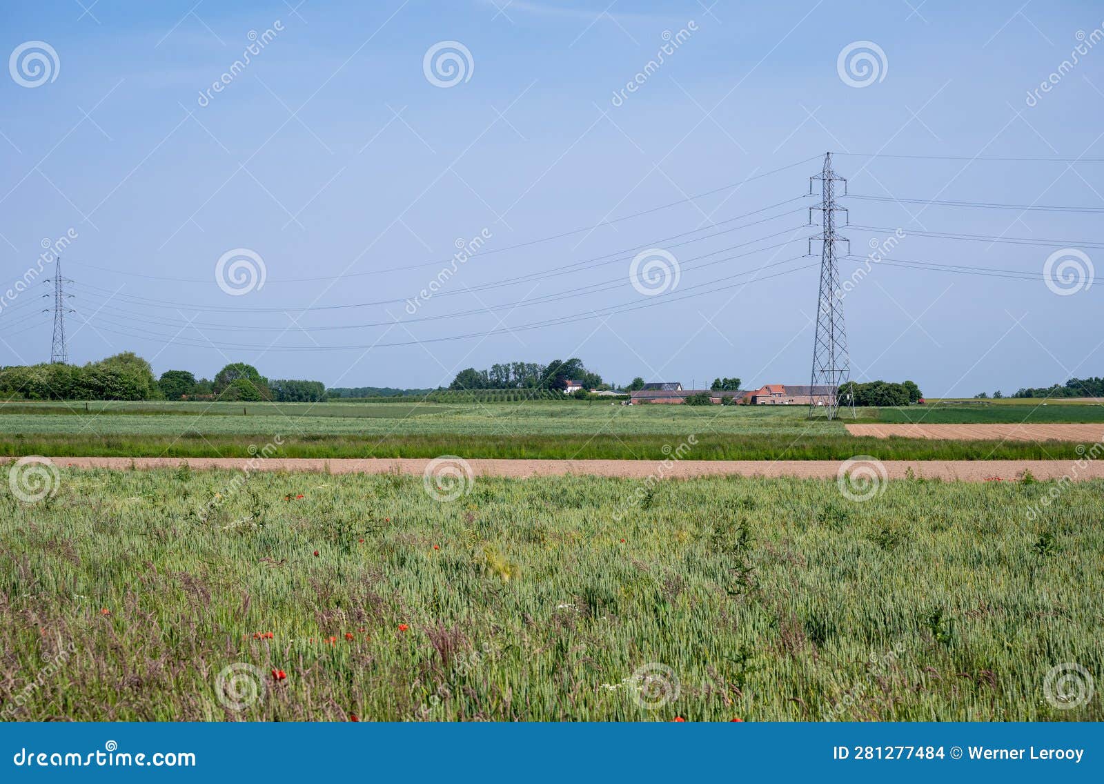 Agriculture Fields and Meadows at the Flemish Countryside, Boutersem ...