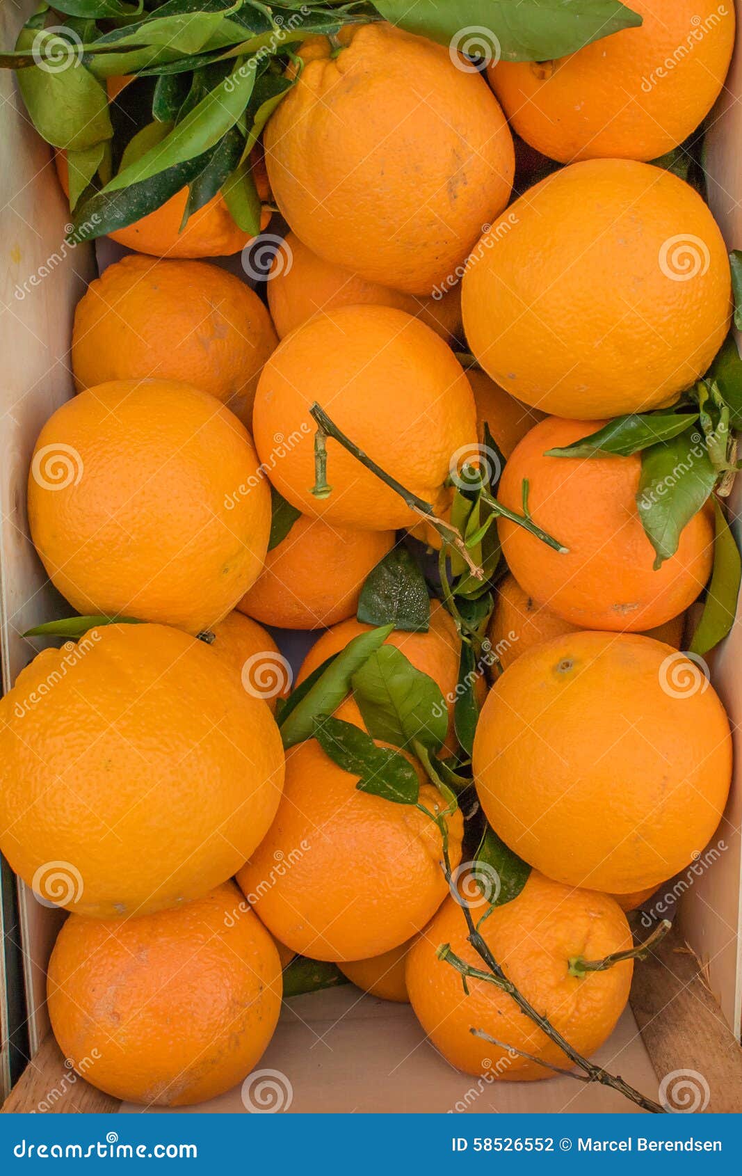 Agriculture - Fruits stock photo. Image of health, agriculture - 58526552