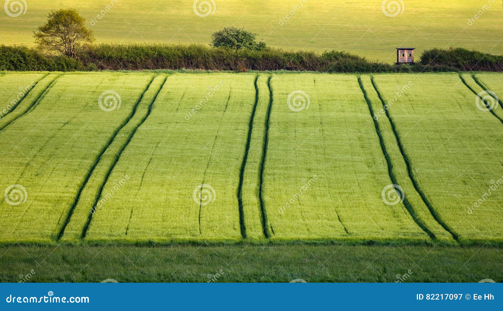 Agriculture in Germany stock image. Image of weather - 82217097
