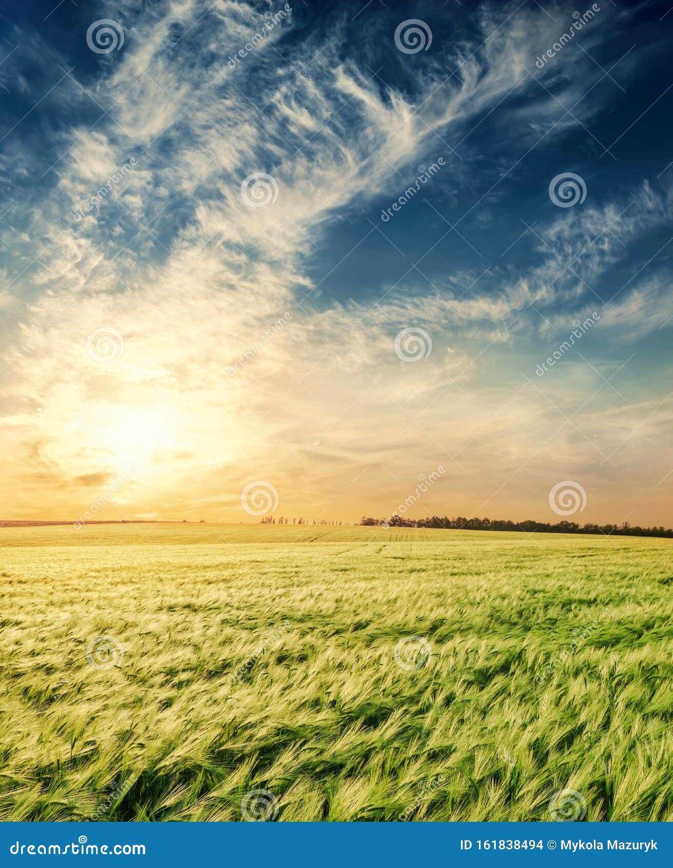 224,397 Green Sunset Clouds Stock Photos - Free & Royalty-Free Stock ...