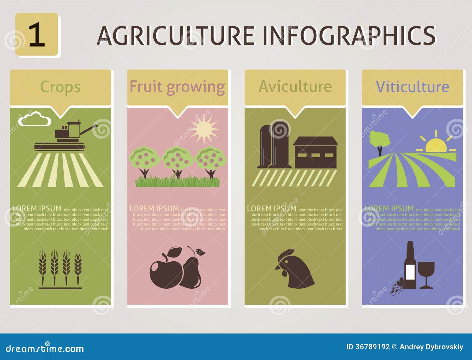 Agriculture Infographics Vector Illustration | CartoonDealer.com #36789192