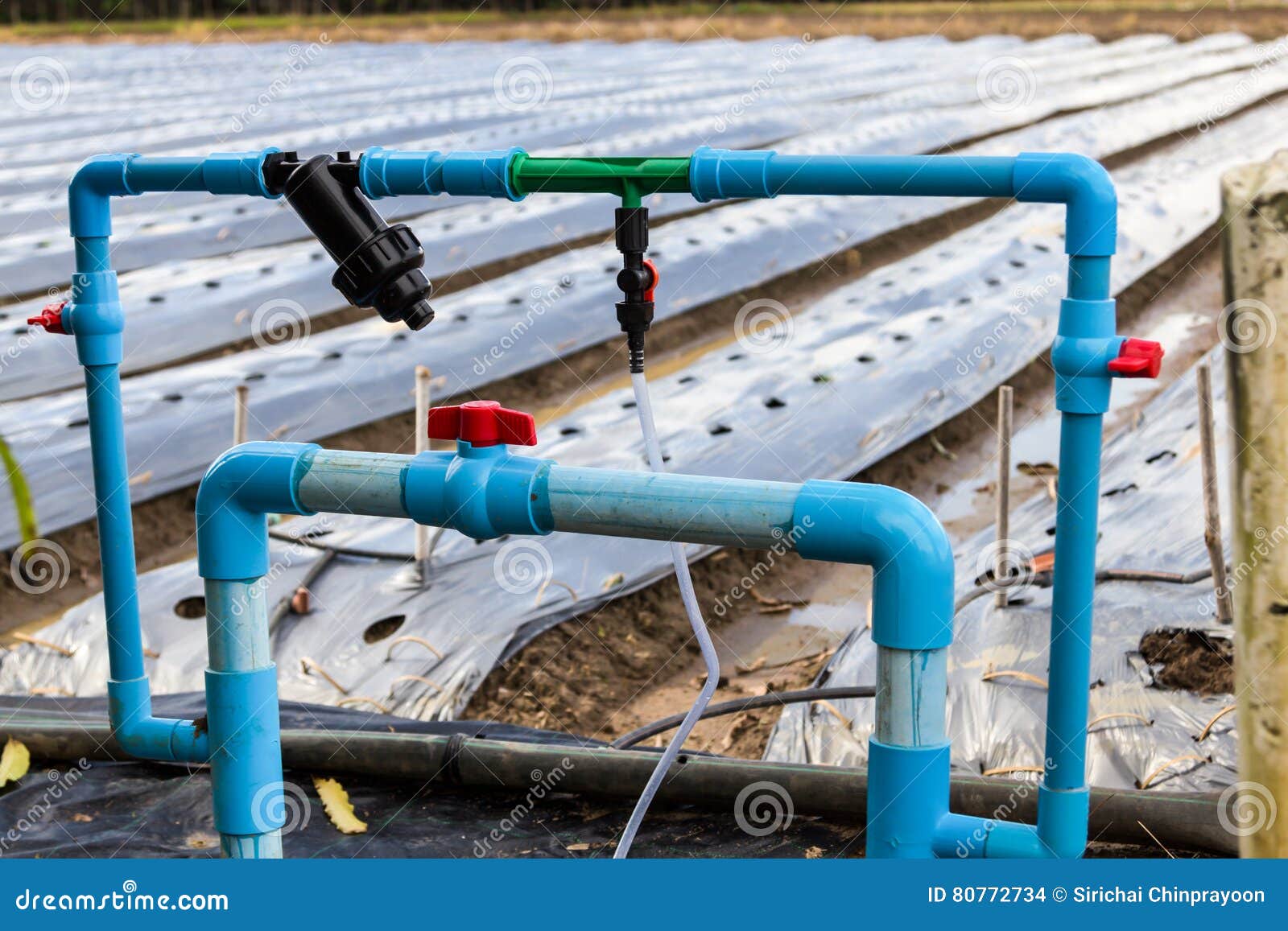 Agriculture Irrigation and Fertilizer System Stock Photo - Image of ...