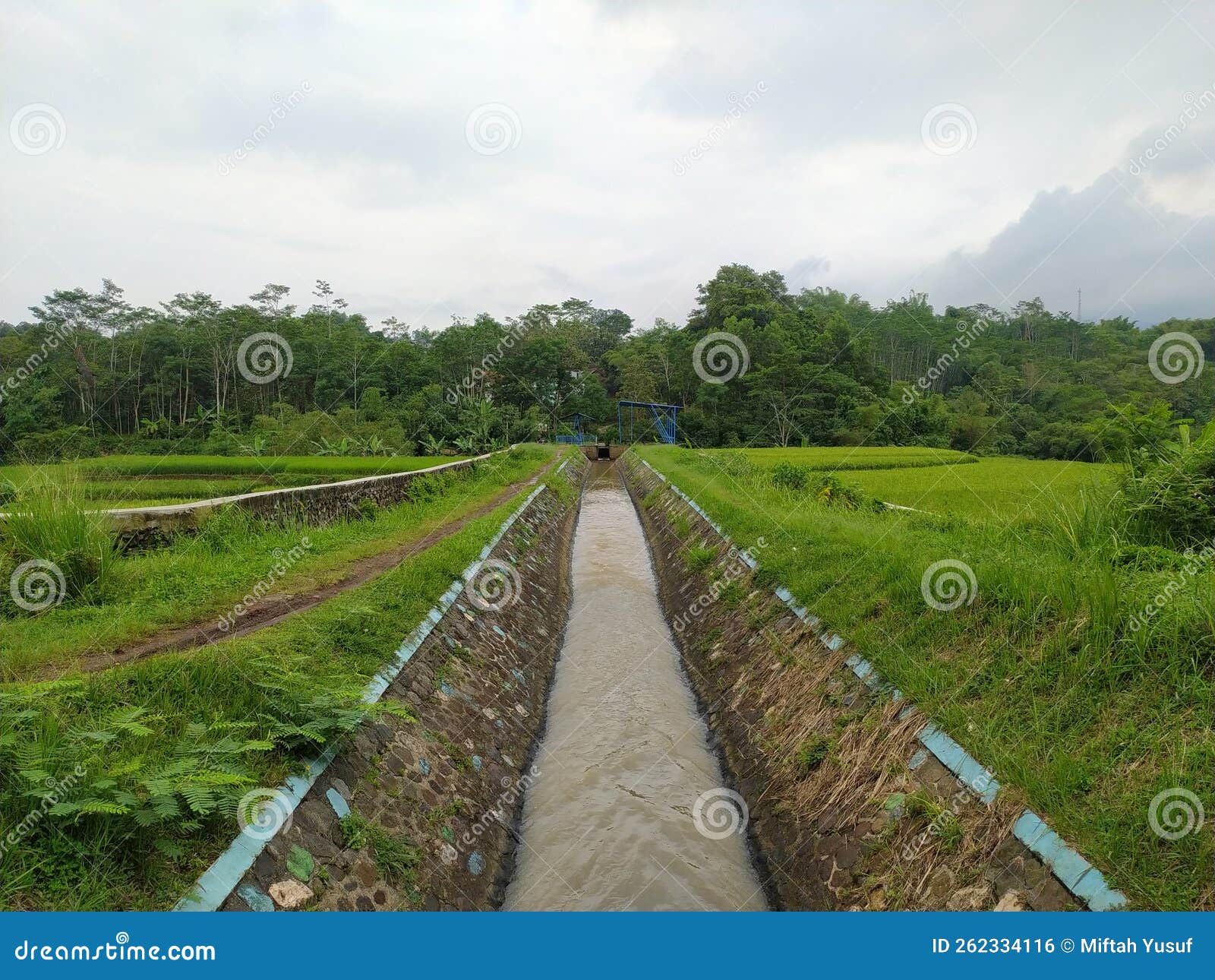 Benefits of Irrigation in Agricultural Areas Stock Photo - Image of ...
