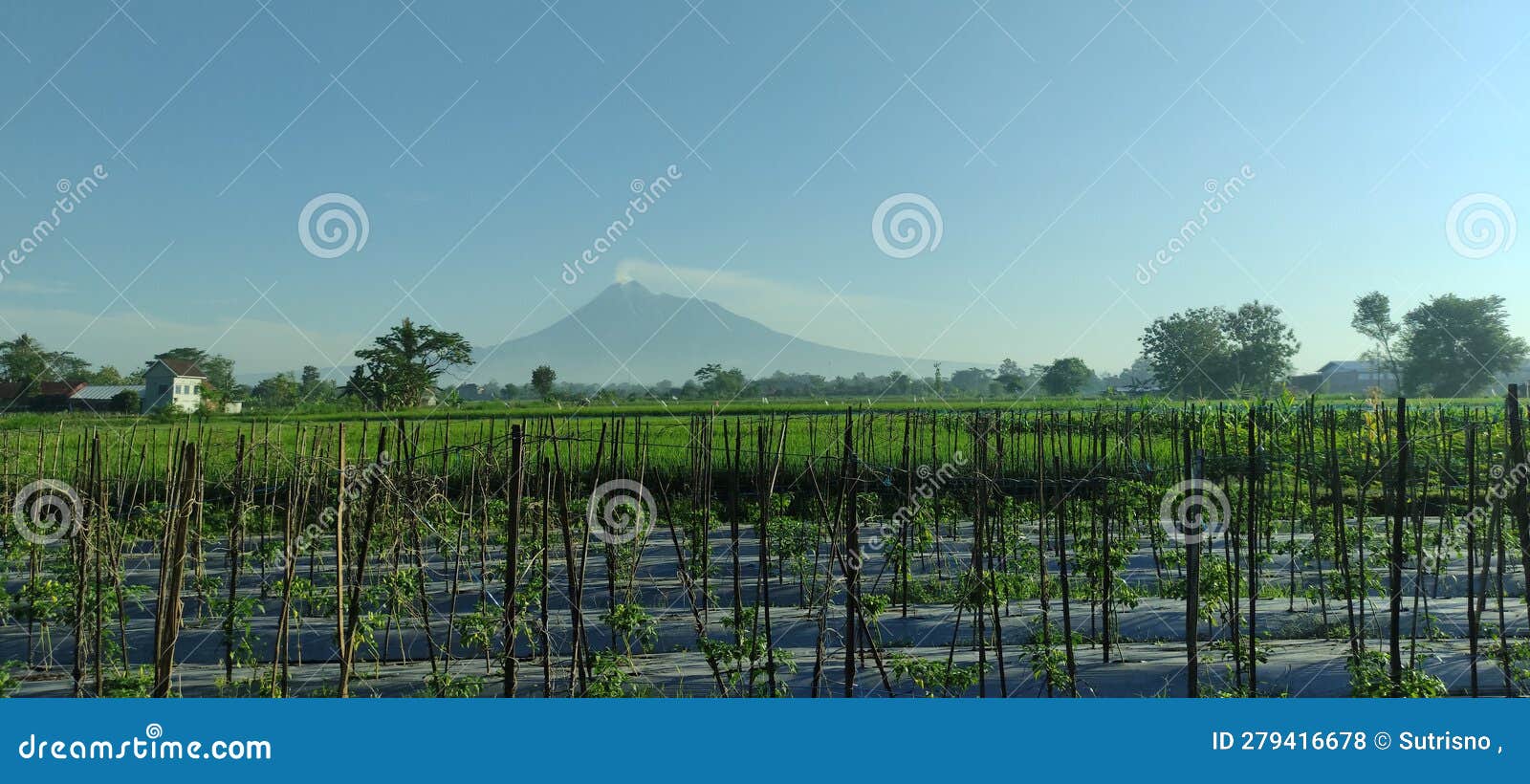 Agriculture in Java, on the Slopes of Mount Merapi Stock Photo - Image ...