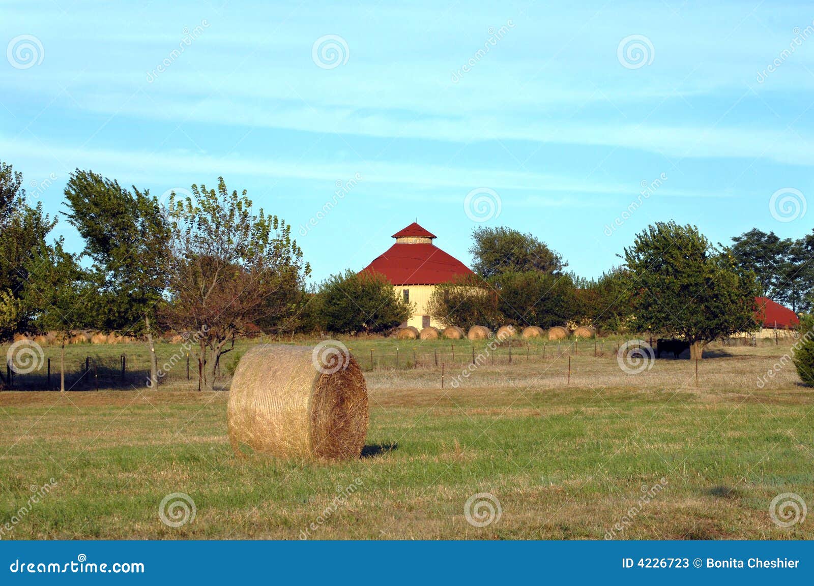 Agriculture in Kansas stock image. Image of painted, roof - 4226723