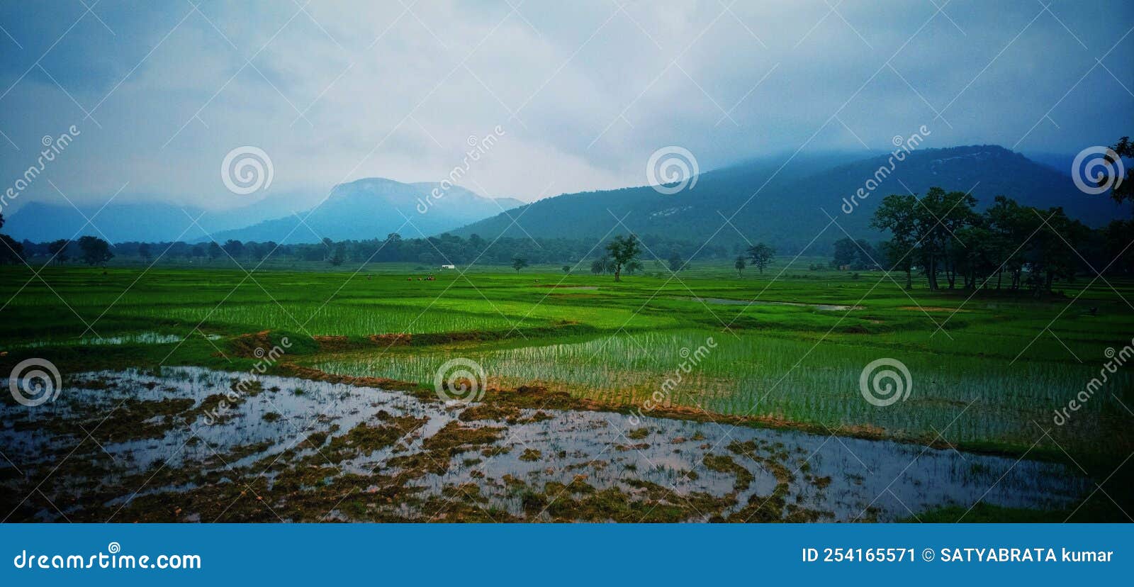 Agriculture Land and Mountains. Country Side View Stock Image - Image ...