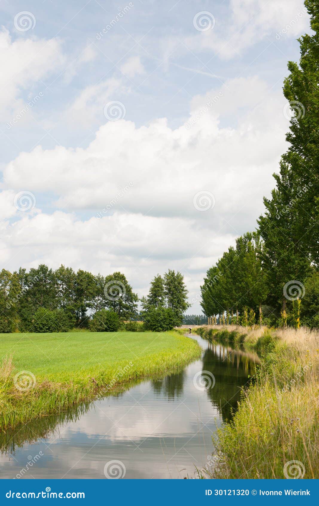 Landscape With A Bog Ditch, Colorful Trees On The Side Of The Ditch ...