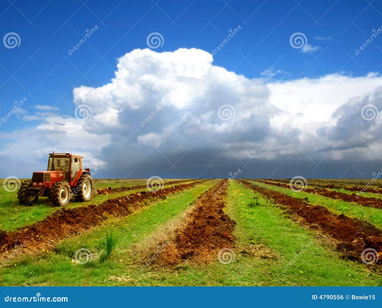 Agriculture landscaped stock photo. Image of corn, seed - 4790556