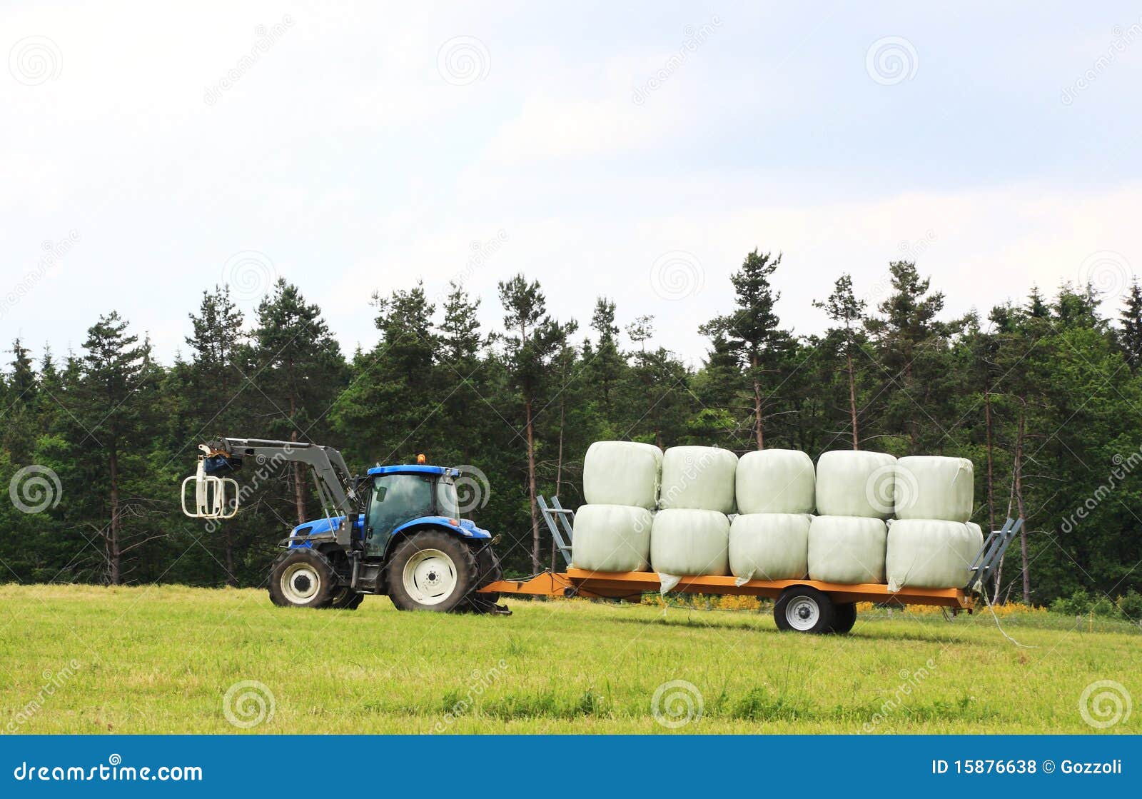Agriculture - Loading Hay Bales Stock Photo - Image of farm, baled ...