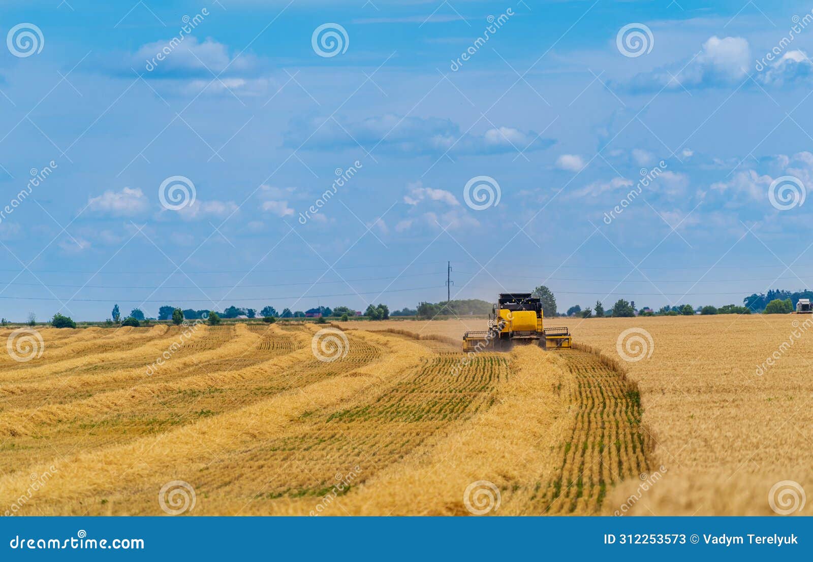 Agriculture Machine Harvesting Crop in Fields, Special Technic in ...
