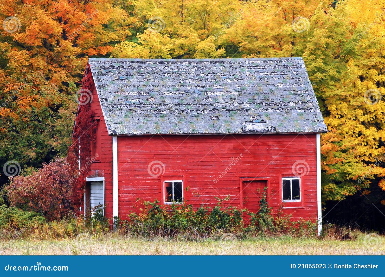 Agriculture in Michigan stock image. Image of exterior - 21065023