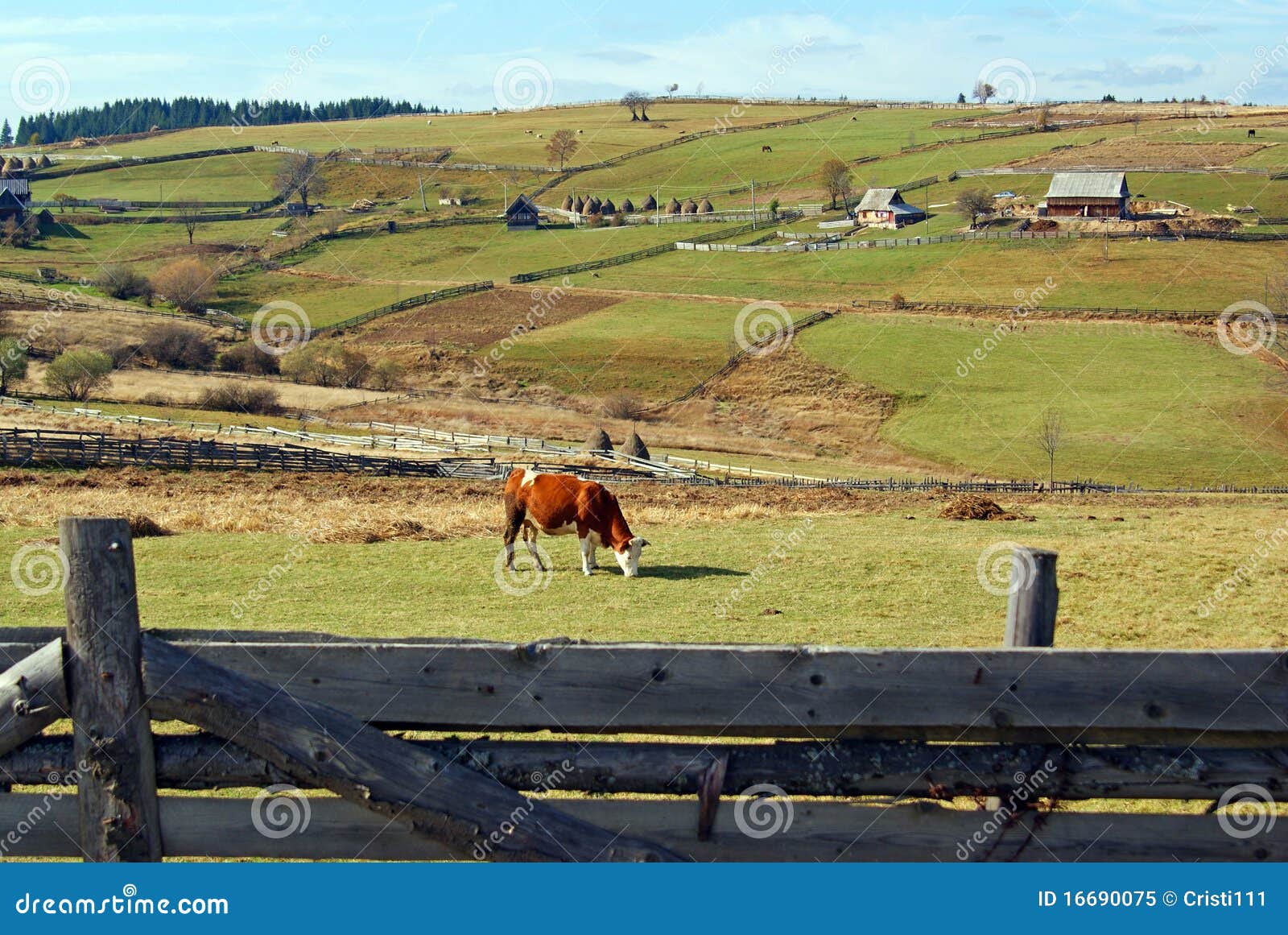 Agriculture On Mountain Top Stock Image - Image of field, buyer: 16690075