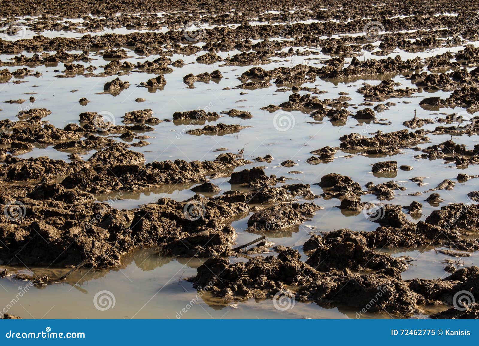 Agriculture Mud Soil Field in a Water Flood Stock Image - Image of soil ...