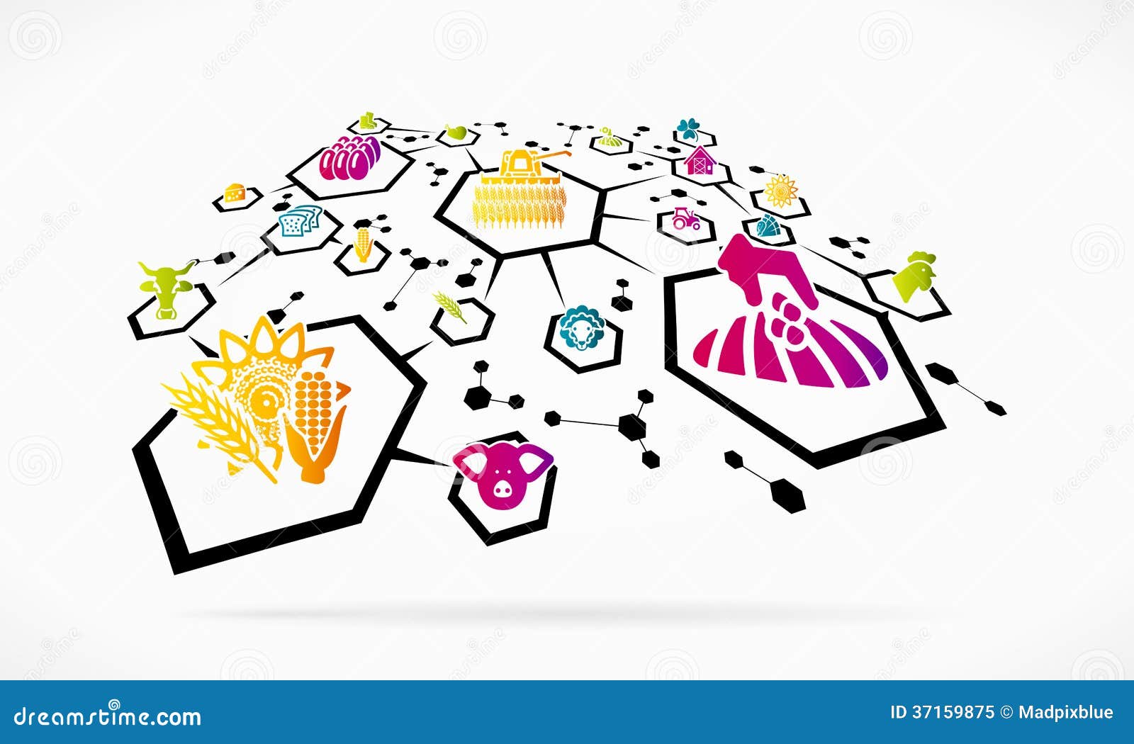 Agriculture network stock vector. Illustration of food - 37159875
