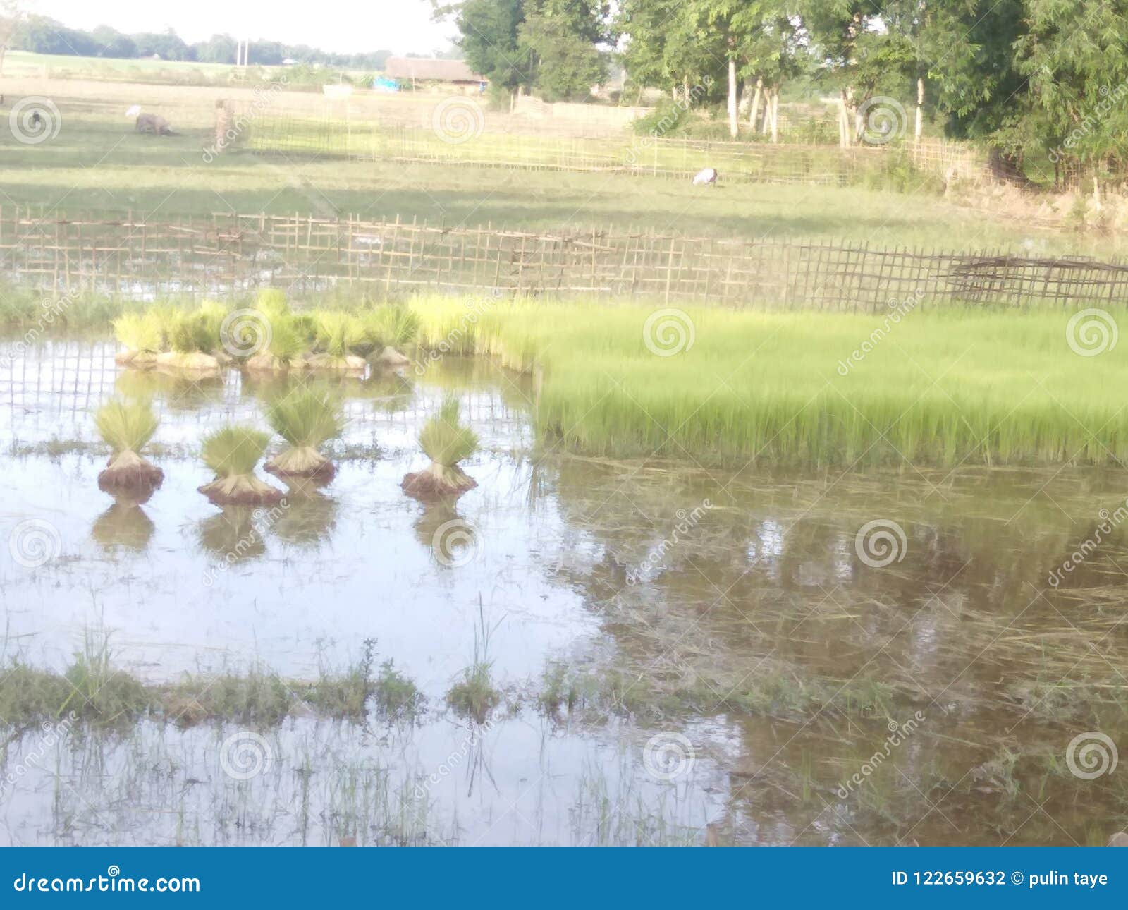 Pothar Stock Photos - Free & Royalty-Free Stock Photos from Dreamstime