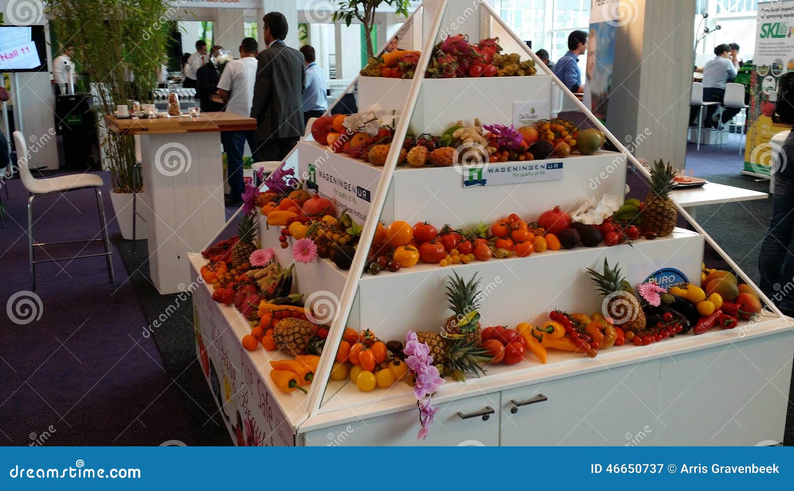 Color Fruit composition editorial photography. Image of exhibition ...