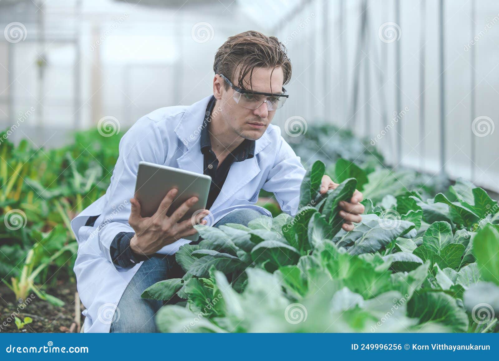 Agriculture Plant Science Technology Research and Development Concept ...