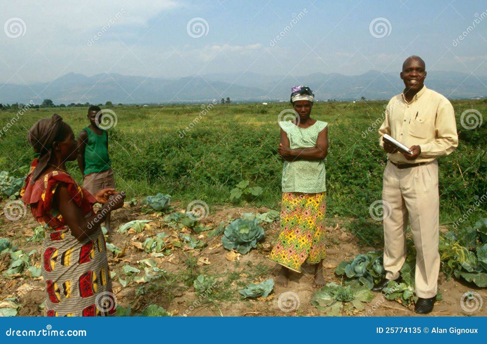 An Agriculture Project in Uganda. Editorial Image - Image of working ...
