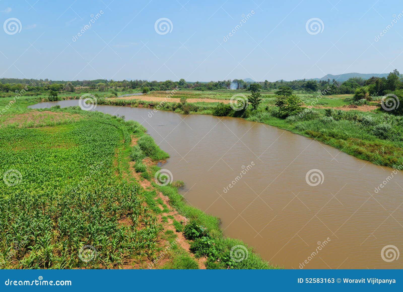Agriculture river fields stock image. Image of fresh - 52583163