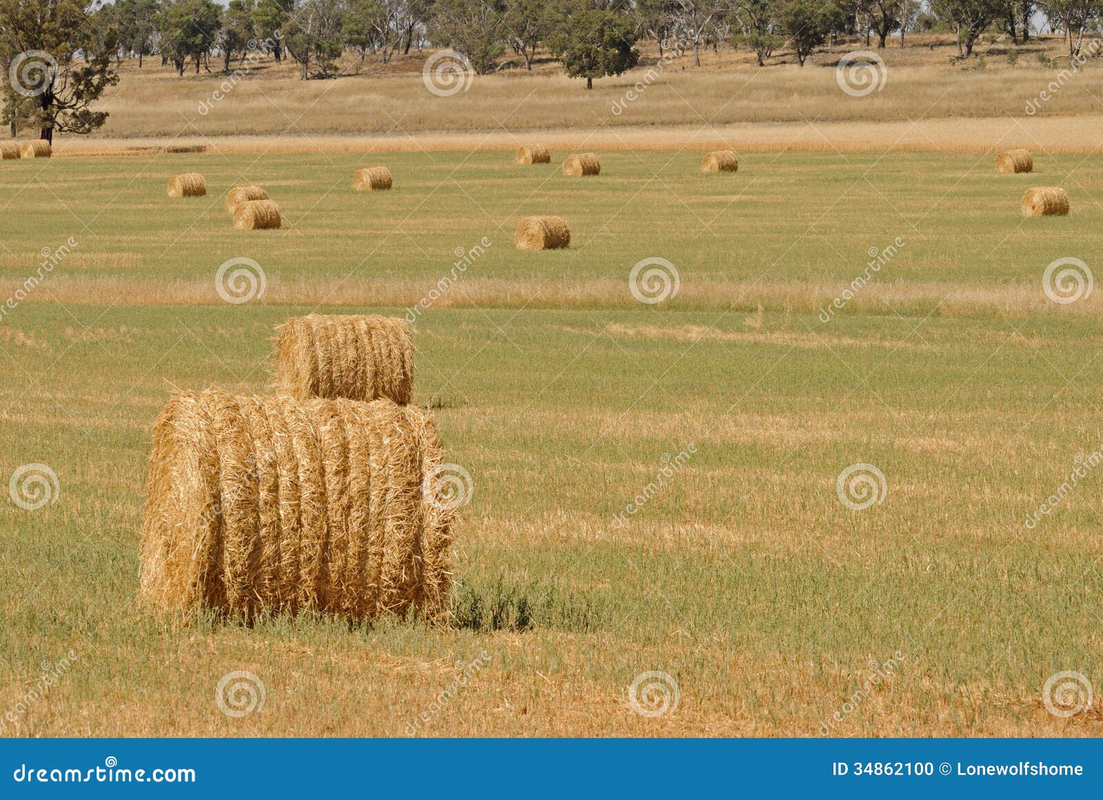 Agriculture stock photo. Image of daylight, country, background - 34862100