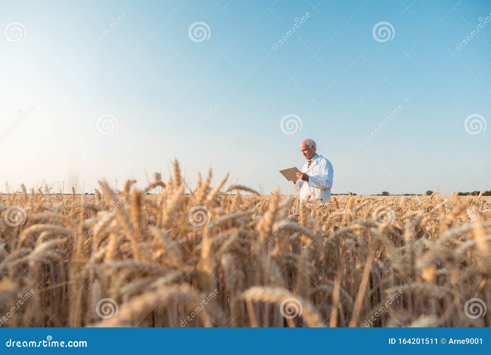 Agriculture Scientist Doing Research in Grain Test Field Tracking Data ...