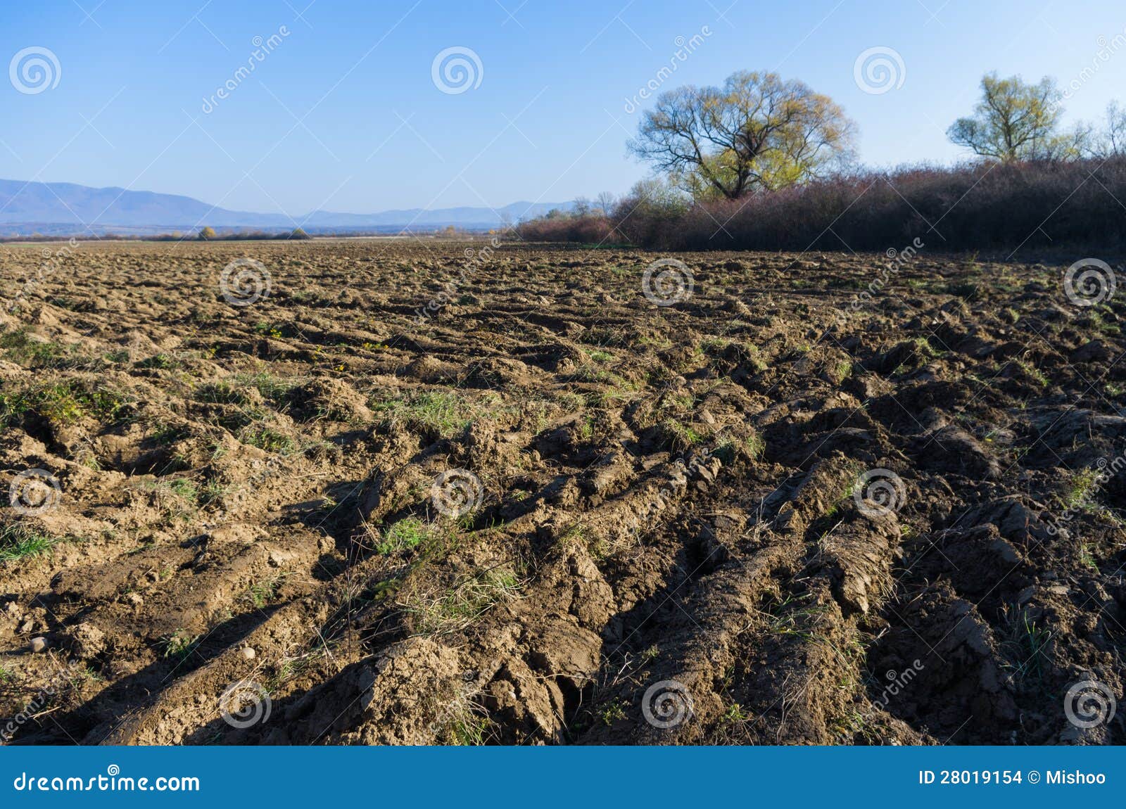 Agriculture soil stock photo. Image of closeup, brown - 28019154