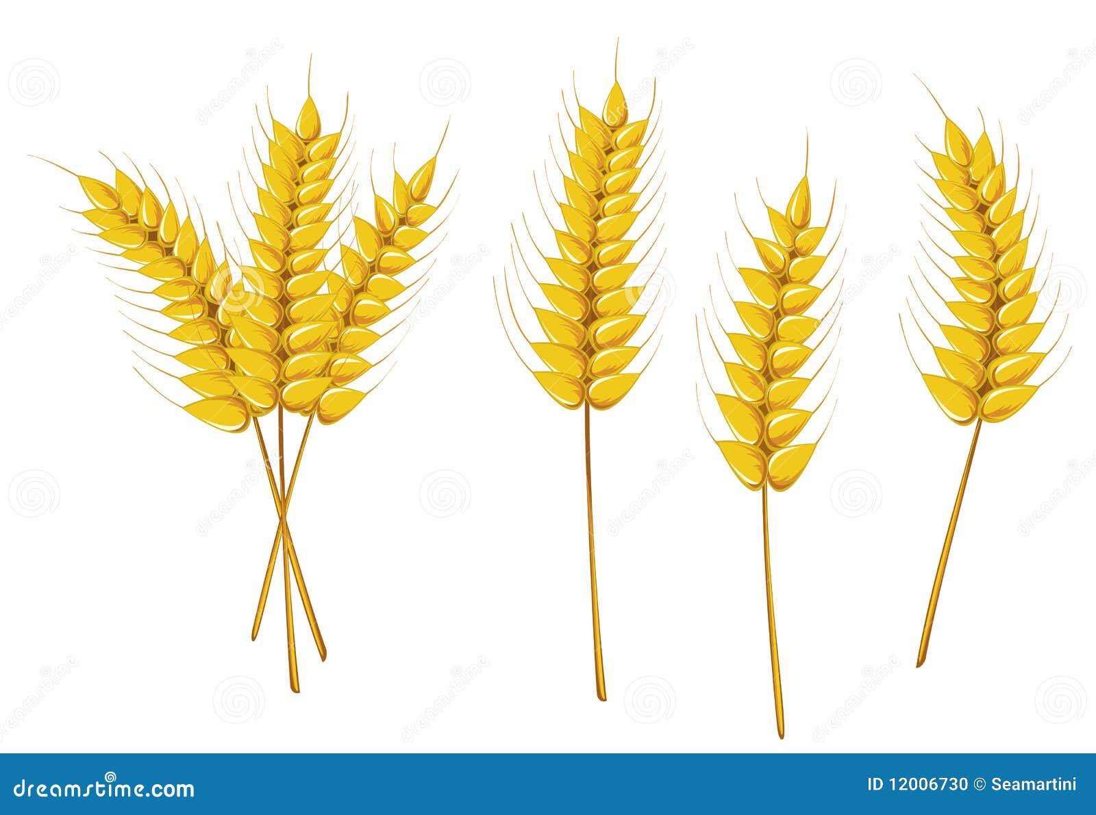 Agriculture symbols stock vector. Illustration of plant - 12006730