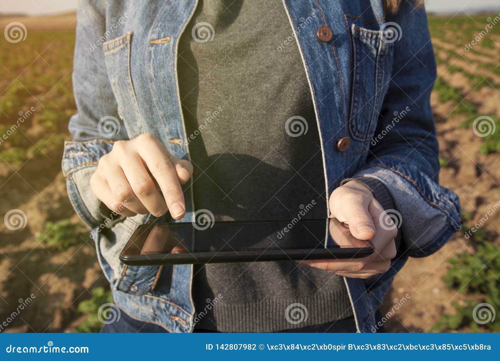 Agriculture Technology Farmer Person Using Tablet Computer Stock Photo ...