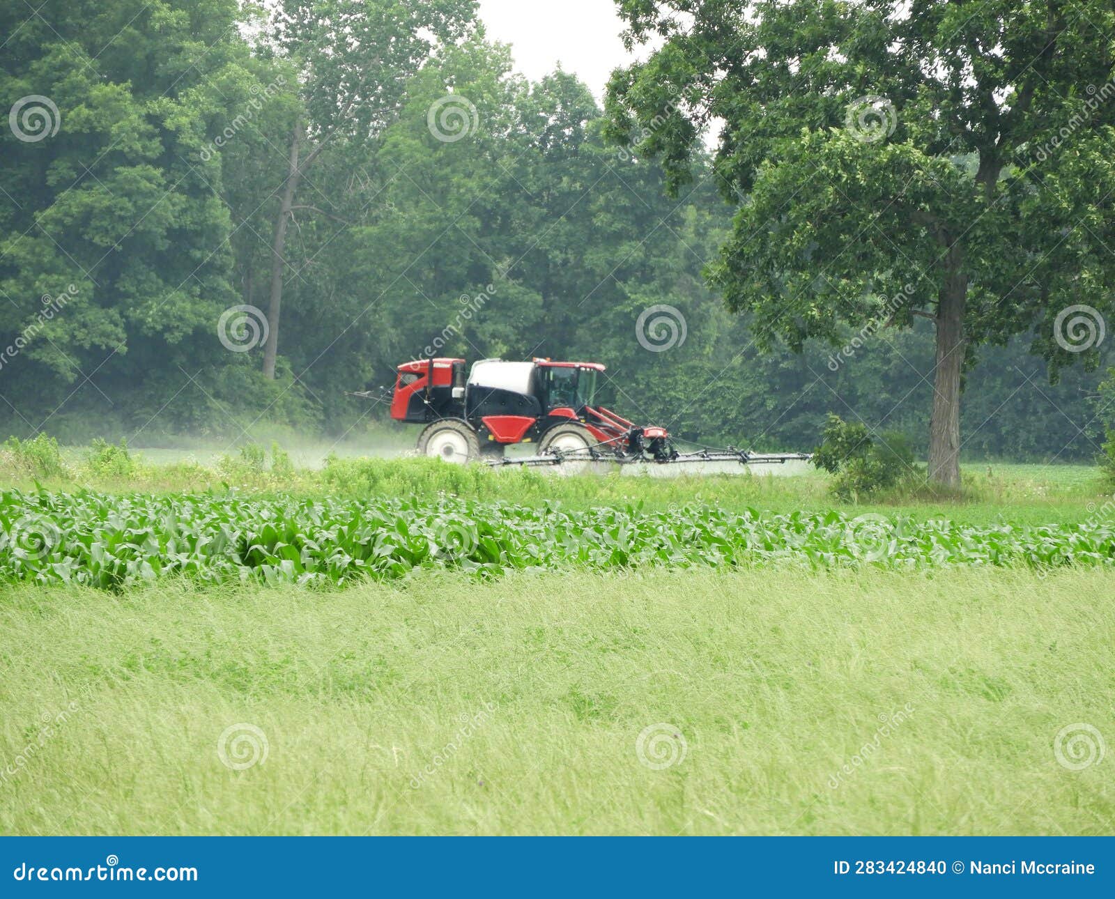 Agriculture Tractor Spreading Liquid Fertilizer on Newly Planted Crop ...