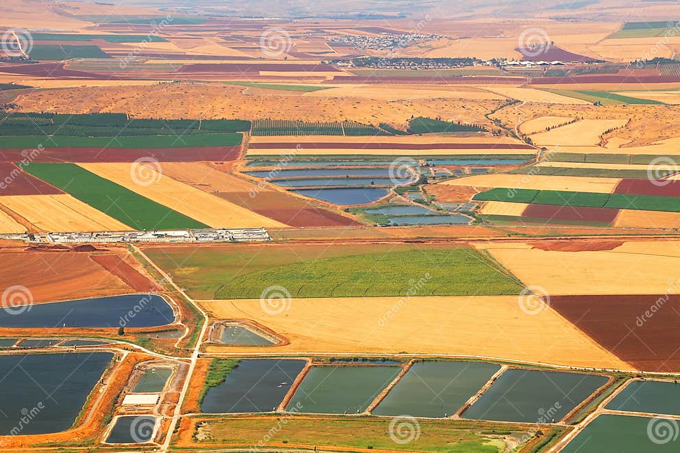 Agriculture valley stock photo. Image of plant, green - 25623916